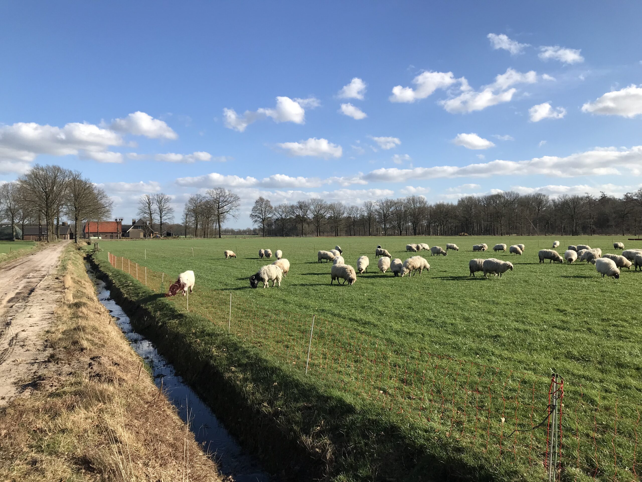 Hgv 2 Geopark Heuvelrug Gooi En Vecht